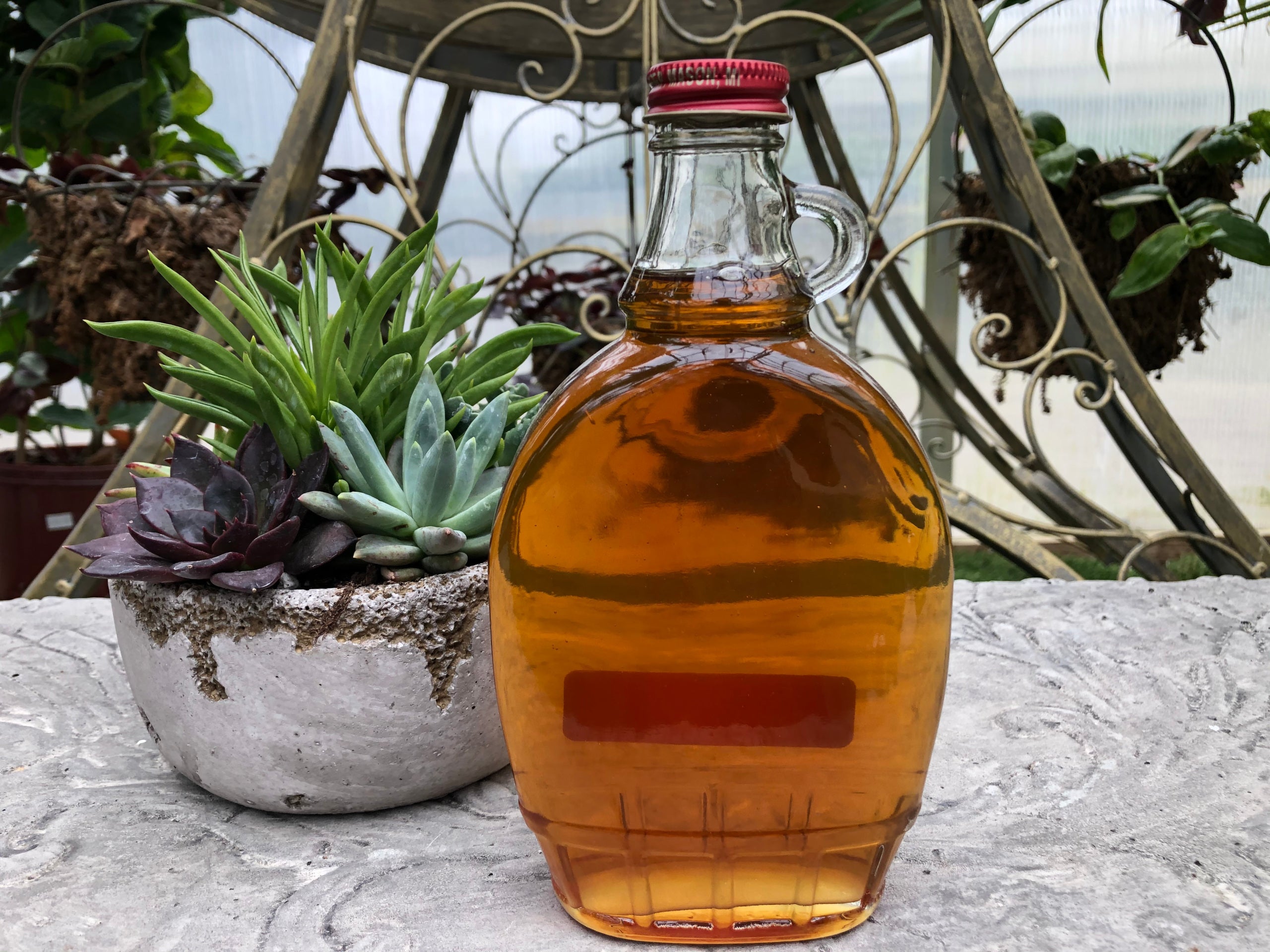 12.5 oz Maple Syrup | Pot-Luck Greenhouse