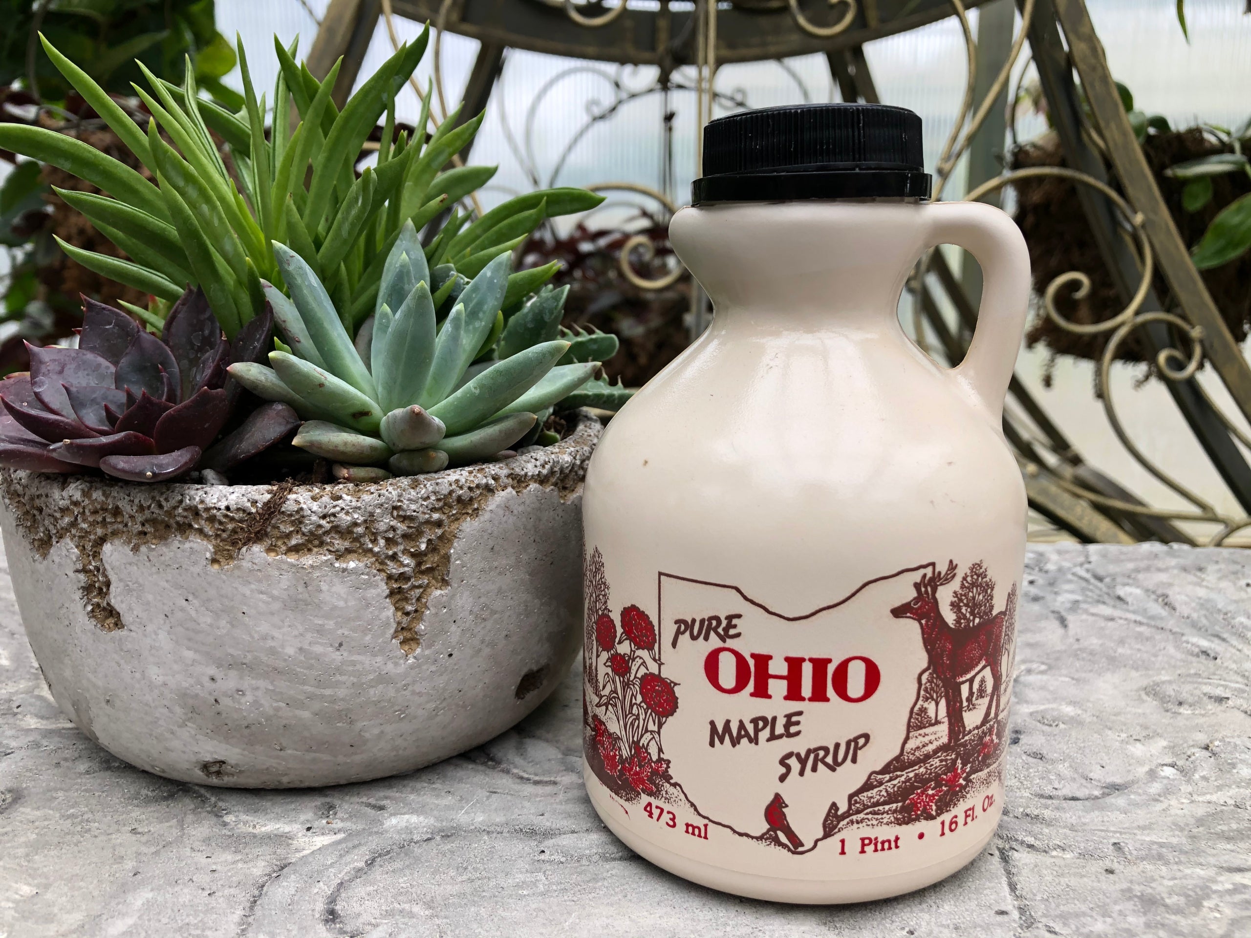 1 Pint Maple Syrup | Pot-Luck Greenhouse