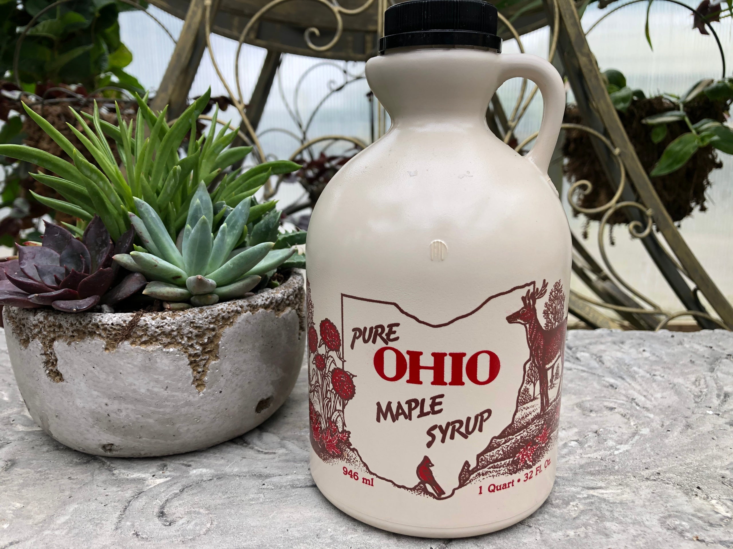 1 Quart Maple Syrup | Pot-Luck Greenhouse